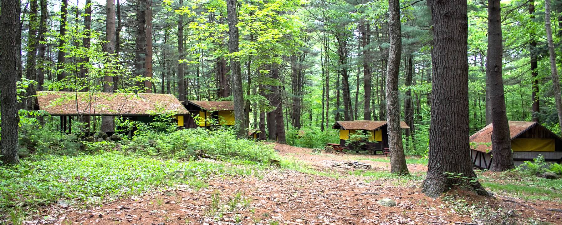 Testimonials – Camp Timber Trails